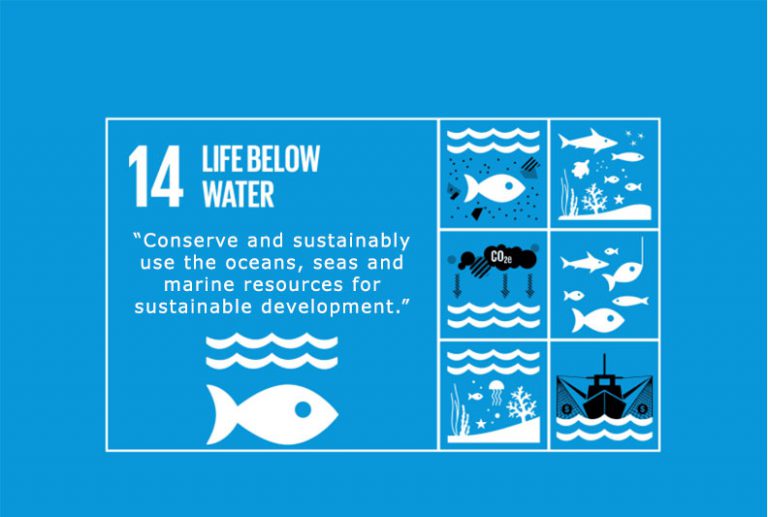 SUSTAINABLE DEVELOPMENT GOAL 14 – Better Bangladesh Tomorrow